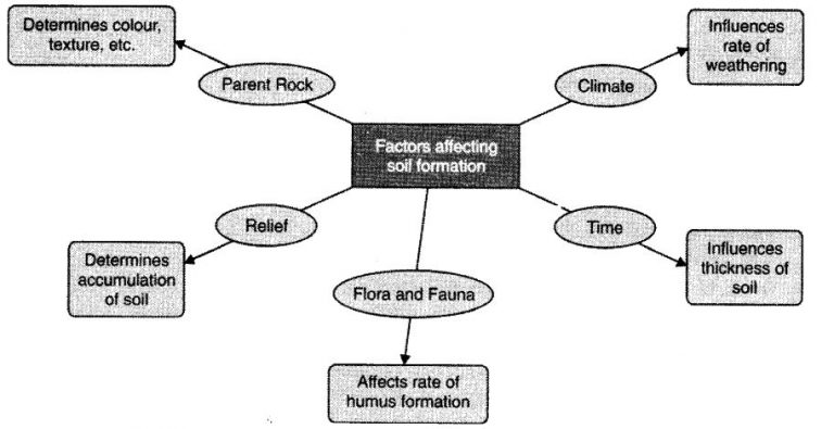 Notes Class 8 Geography Chapter 2 Land, Soil, Water, Natural Vegetation ...