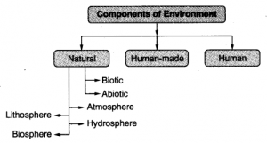 Notes Chapter 1 Environment Class 7 Geography