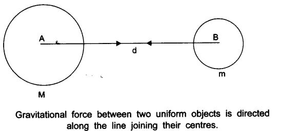 Notes Class 9 Science Chapter 10 Gravitation